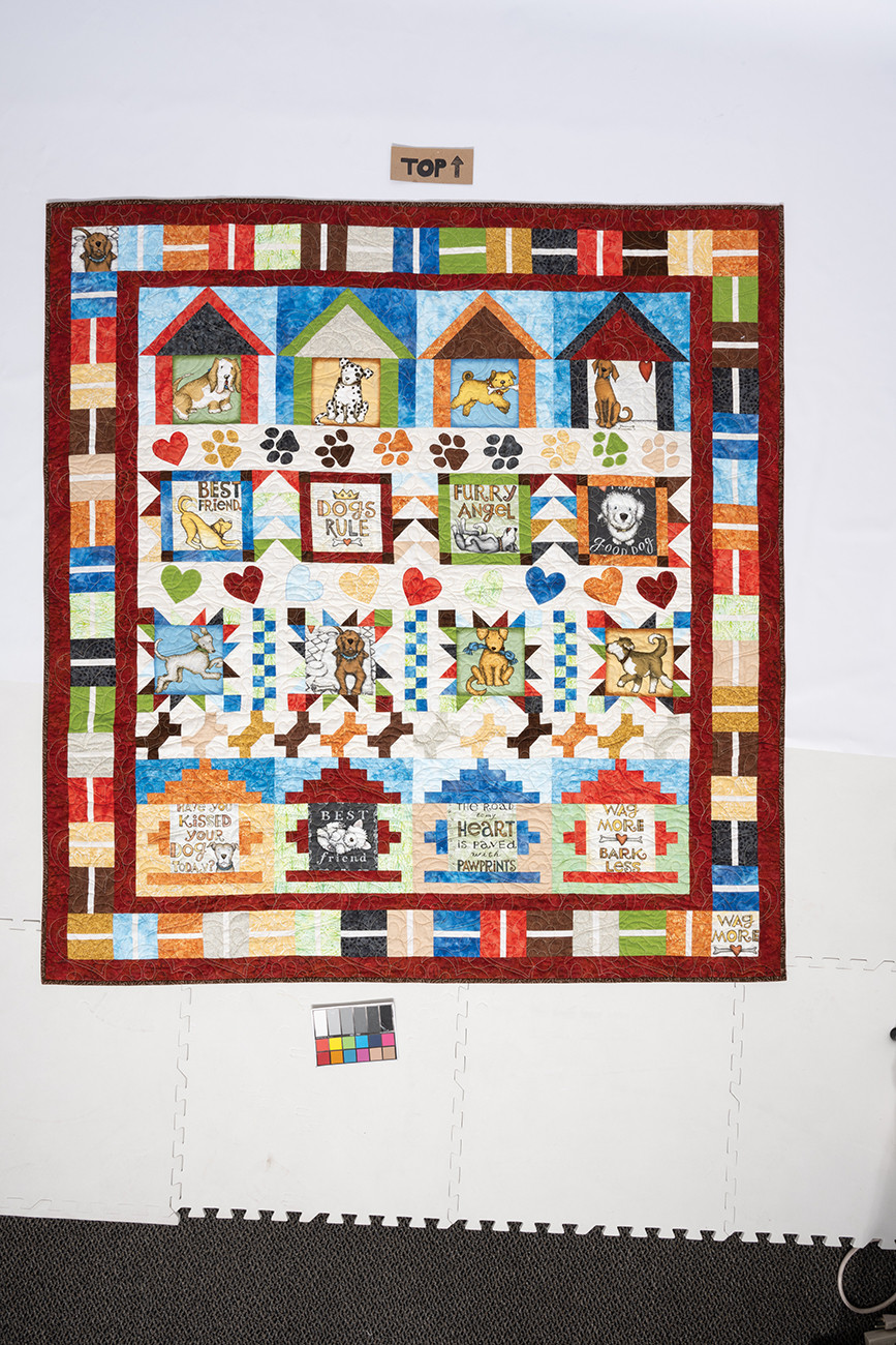 Playful Panel Quilts