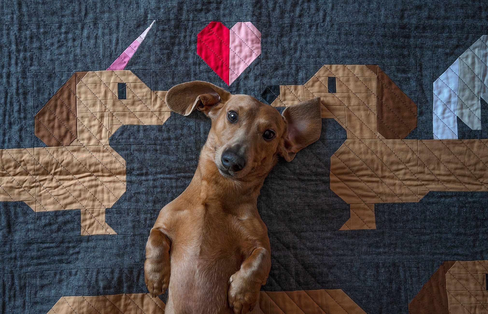 Mythical Wieners Quilt Pattern