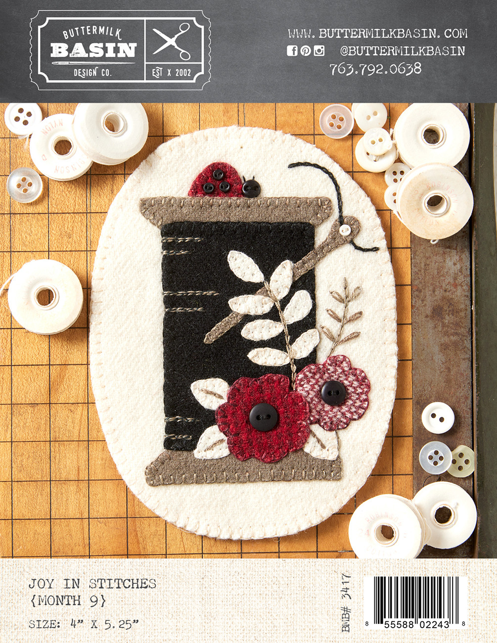 JOY in Stitches - Month 9