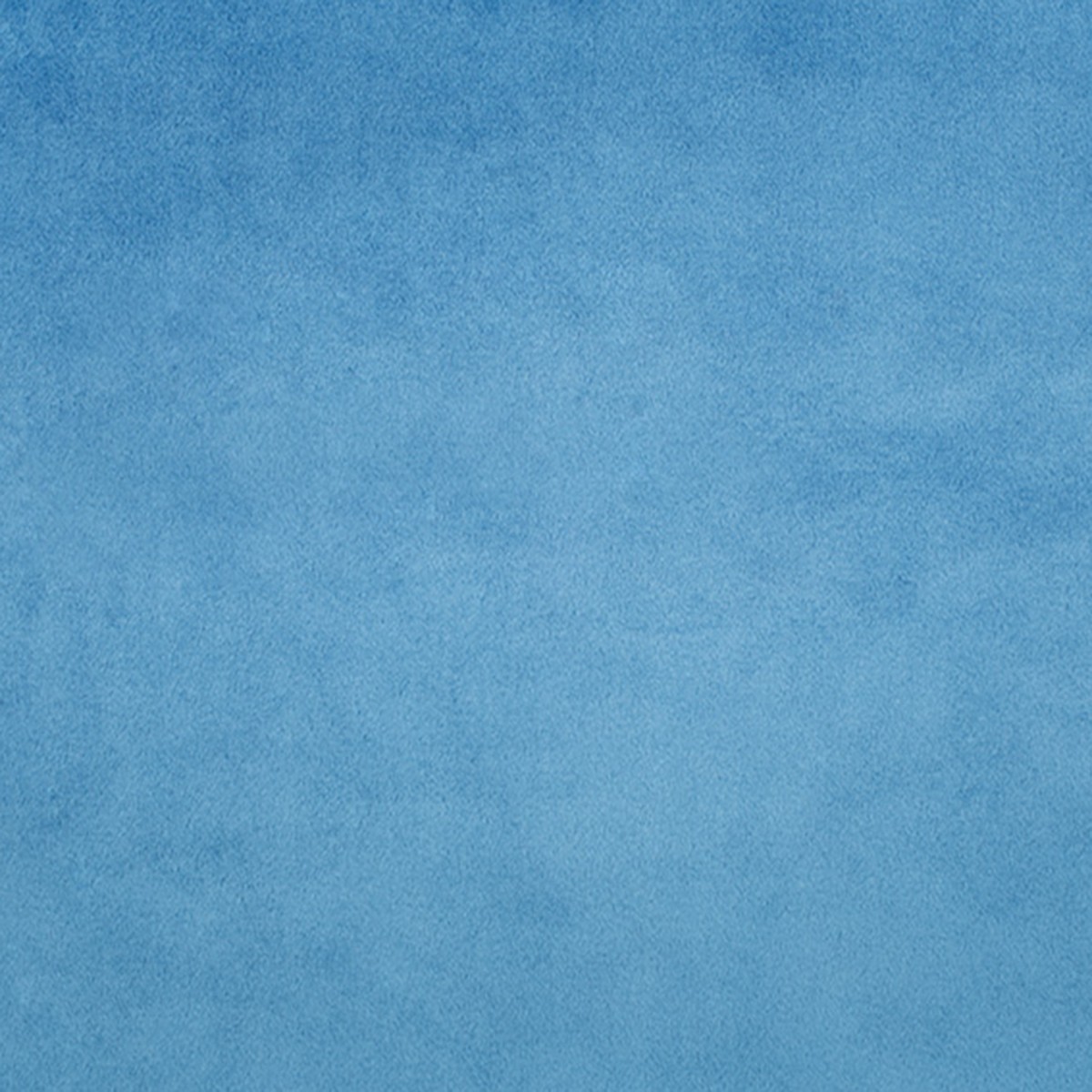 Bluebell Solid Cuddle 90in Wide