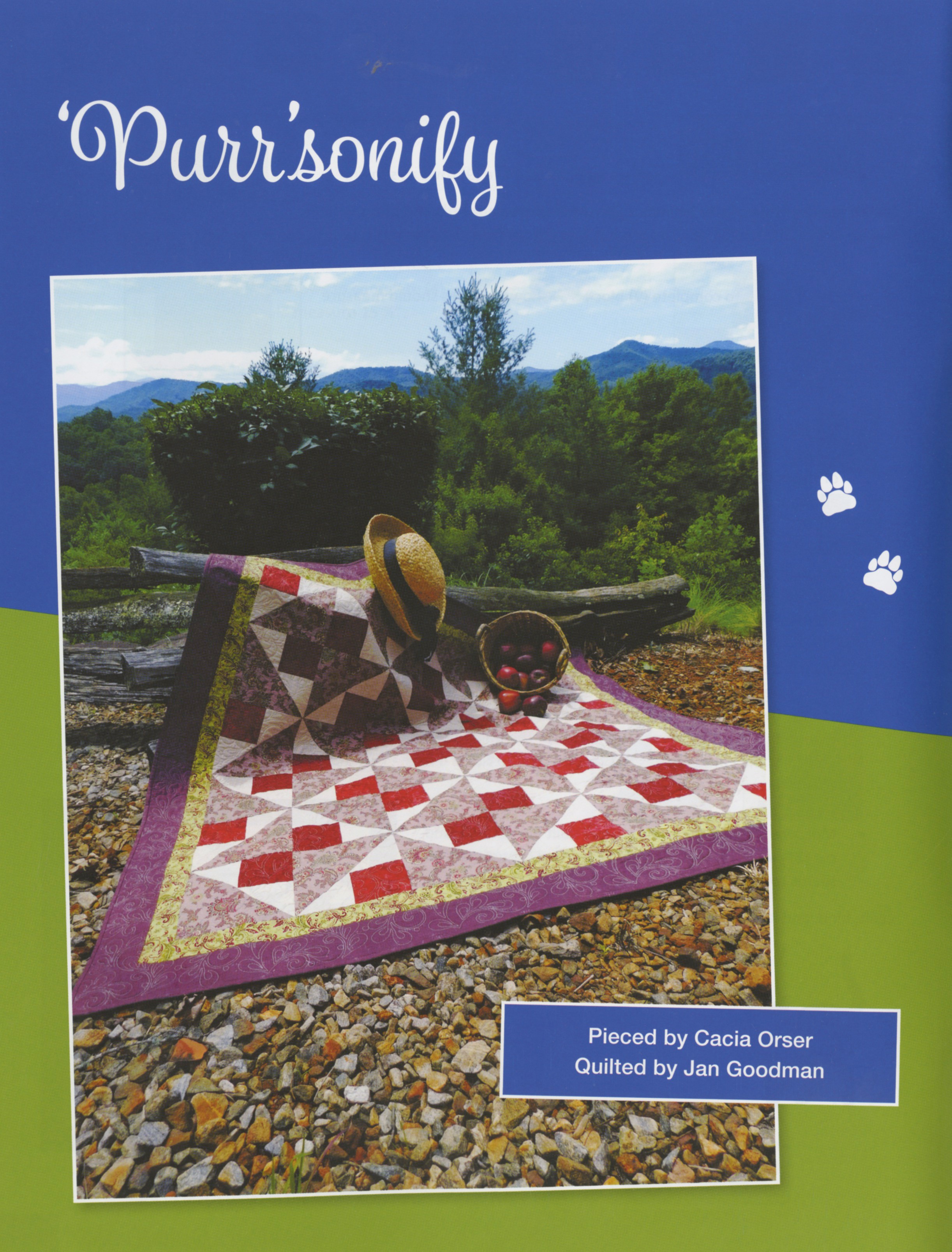 Catitude XL By Heatherly, Deb