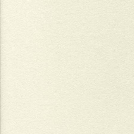 Ivory Flannel Solid 2 ply