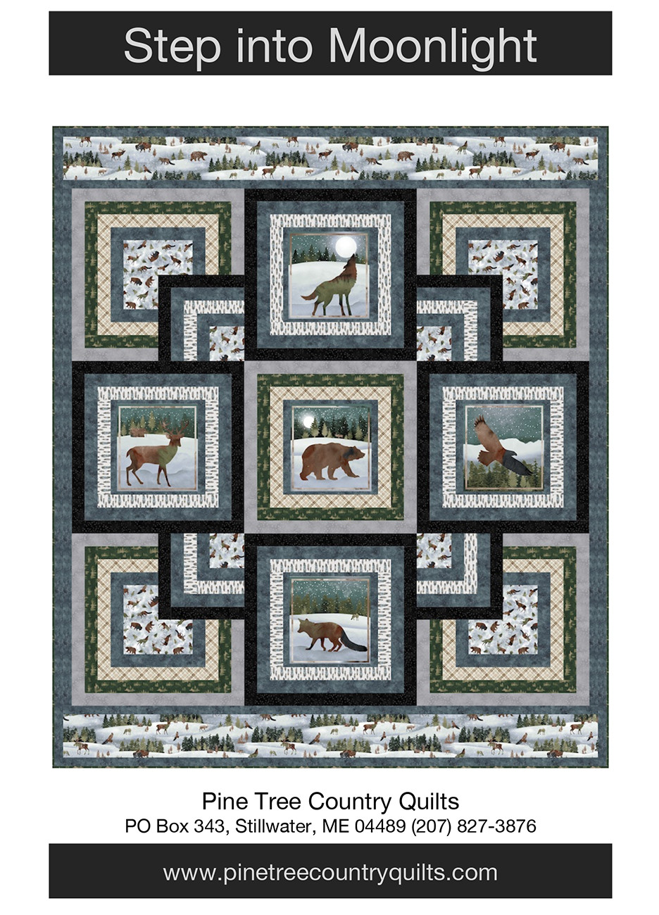 Step into Moonlight By Harvey, Sue & Boobar, Sandy