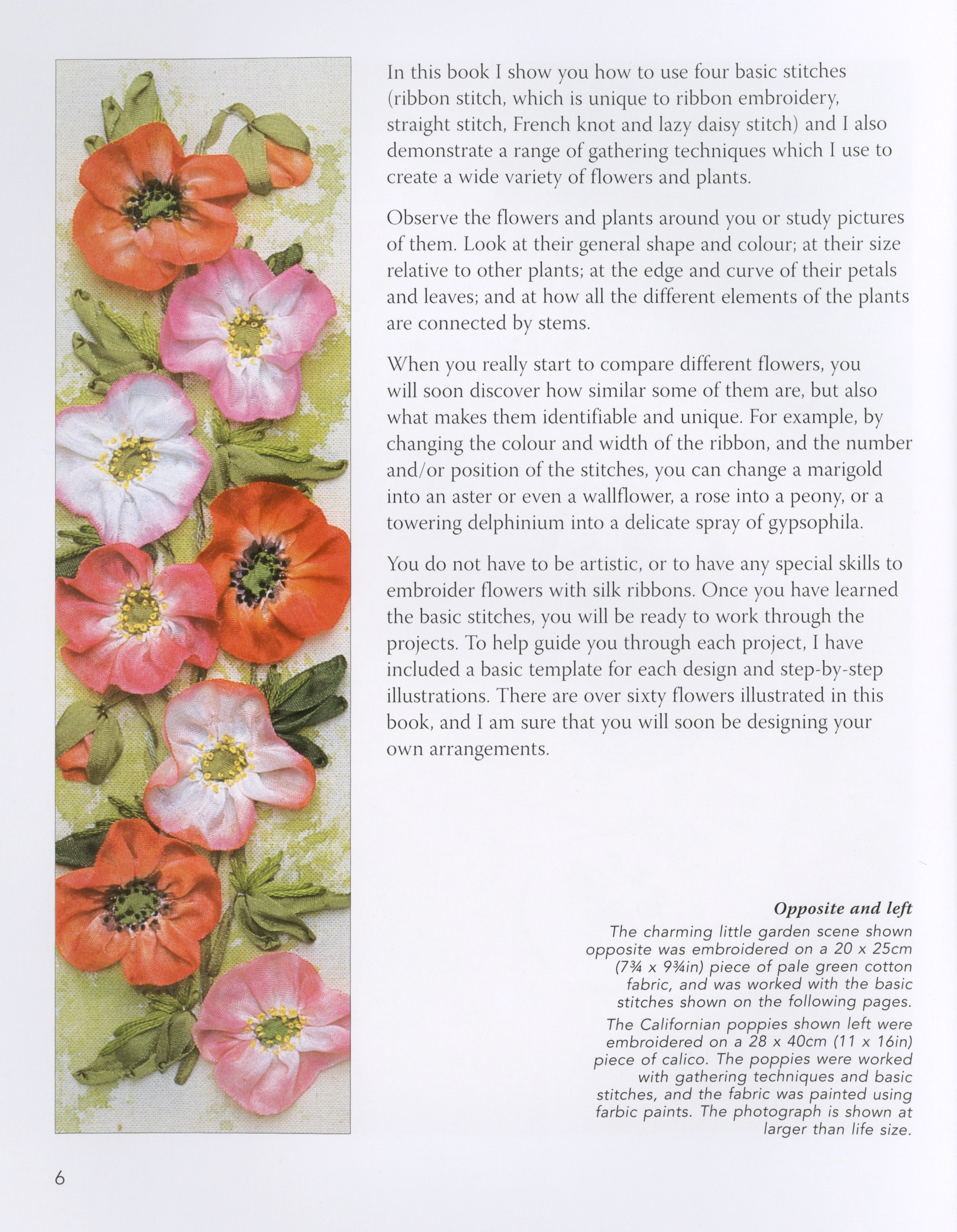 Beginner's Guide to Silk Ribbon Embroidery By Cox, Ann