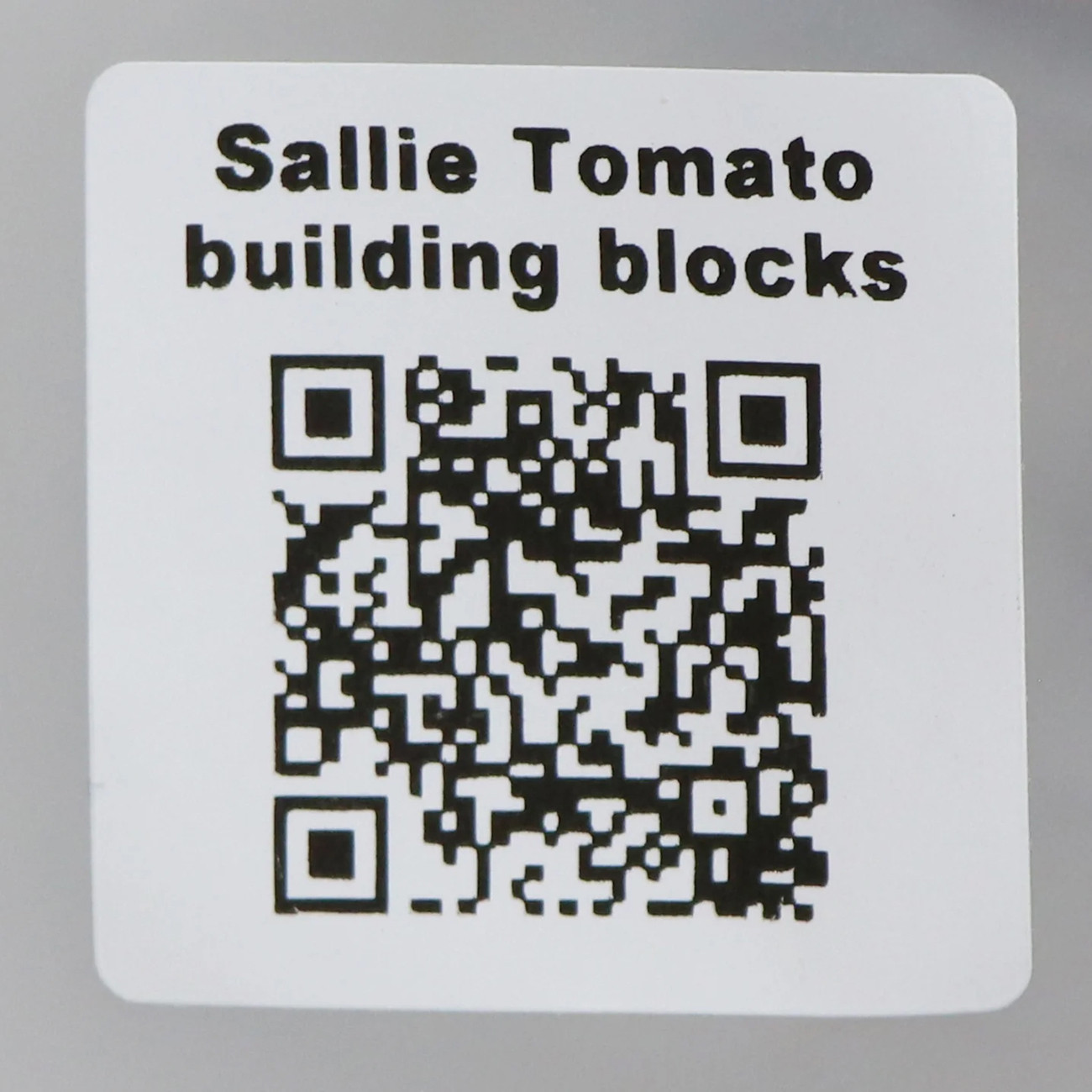 Sallie Tomato Vintage Sewing Machine Building Block Set