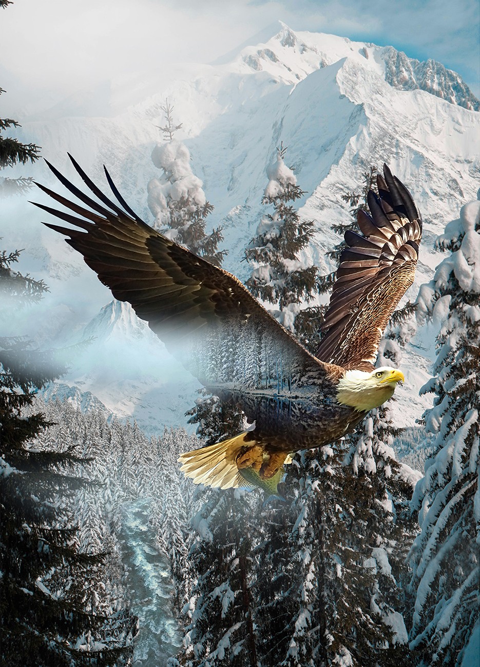 Awakening Call Of The Wild