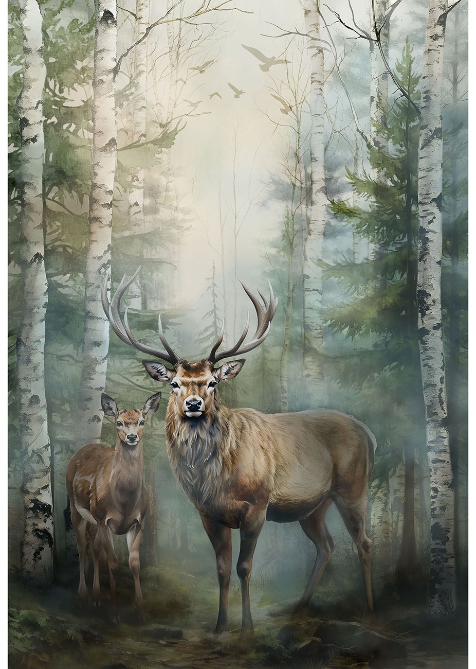 Forest Stag And Stone